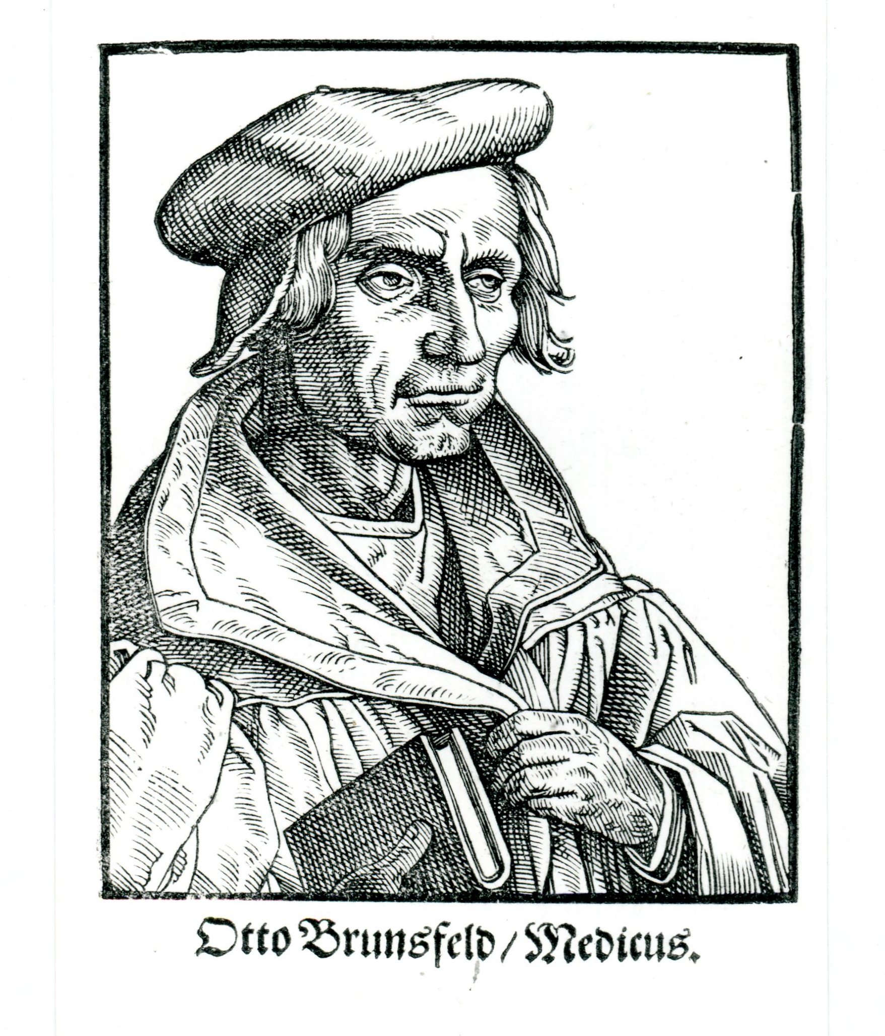 Société Botanique d'Alsace » Activités & ateliers